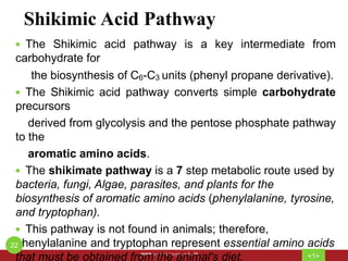 biosyntheticpathways by Abhishek mahajan.ppt