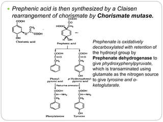 biosyntheticpathwaysbypooja-180711080647.ppt
