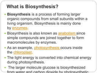 biosyntheticpathwaysbypooja-180711080647.ppt