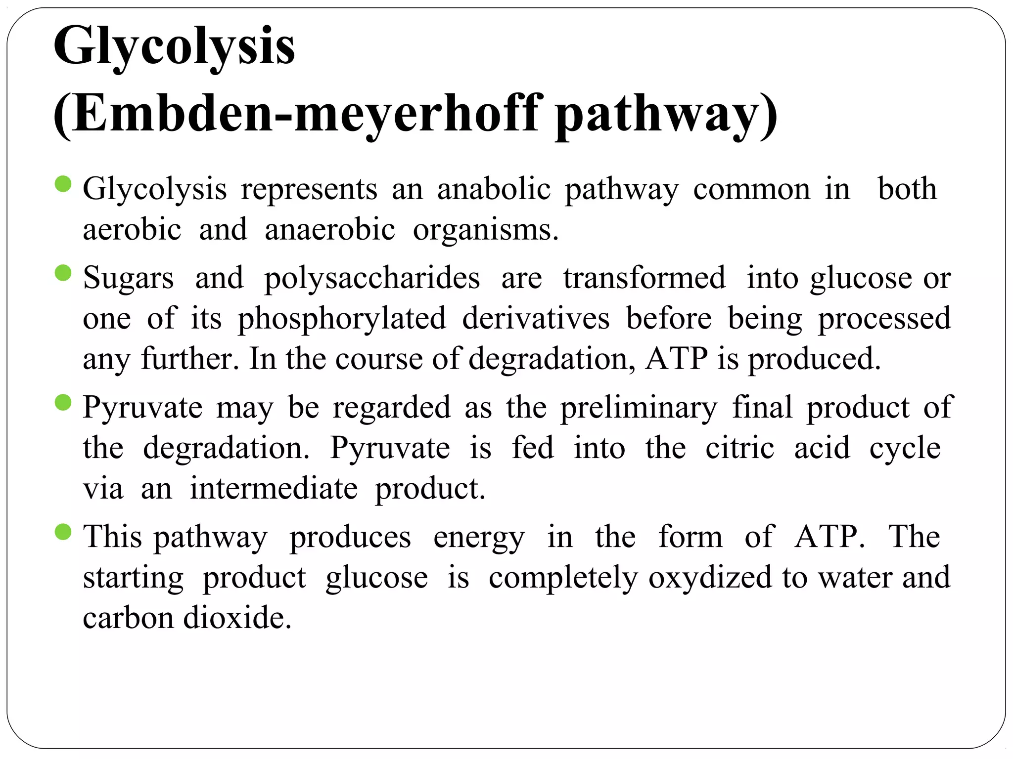 Biosynthetic pathways by pooja | PPT