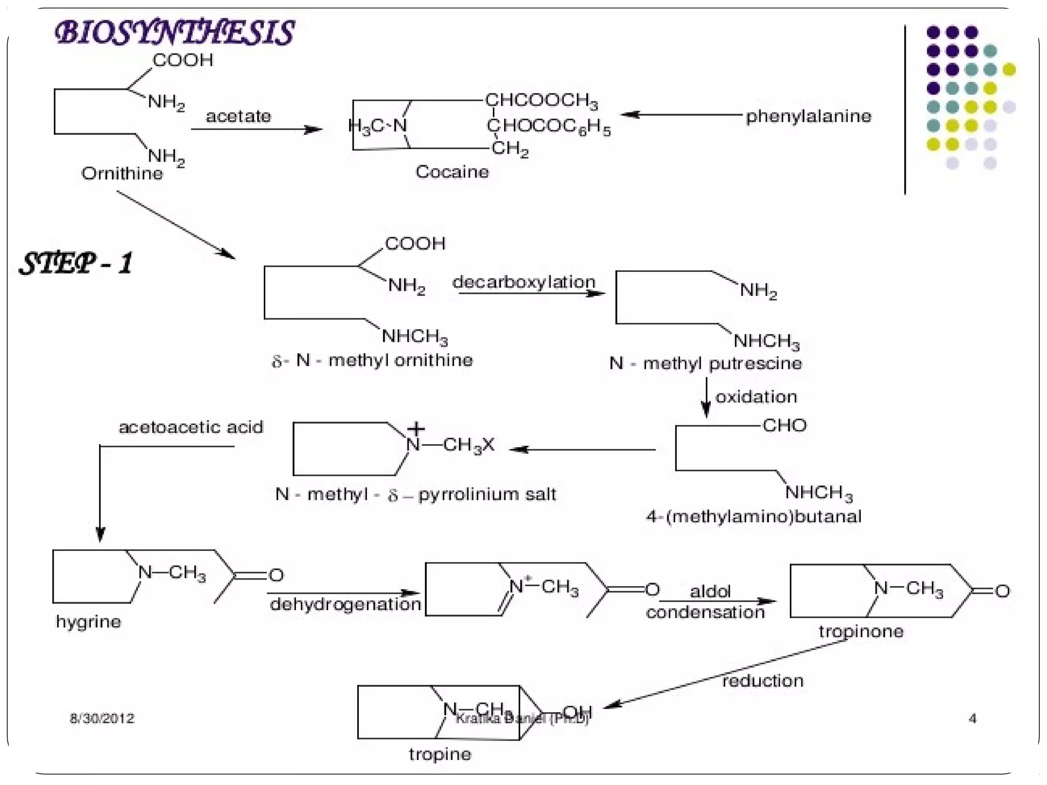 Biosynthetic pathways by pooja | PPT