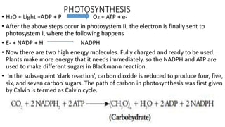 Biosynthetic pathways for natural products.pptx