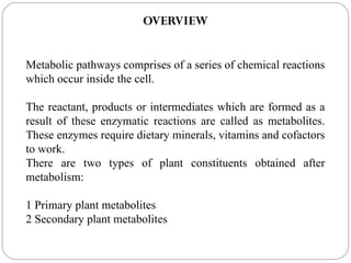 BIOSYNTHETIC STUDIES & BASIC METABOLIC PATHWAY.pptx