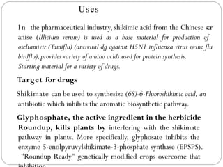 BIOSYNTHETIC STUDIES & BASIC METABOLIC PATHWAY.pptx