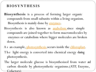 BIOSYNTHETIC STUDIES & BASIC METABOLIC PATHWAY.pptx