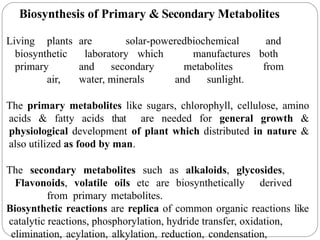 BIOSYNTHETIC STUDIES & BASIC METABOLIC PATHWAY.pptx