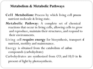 BIOSYNTHETIC STUDIES & BASIC METABOLIC PATHWAY.pptx