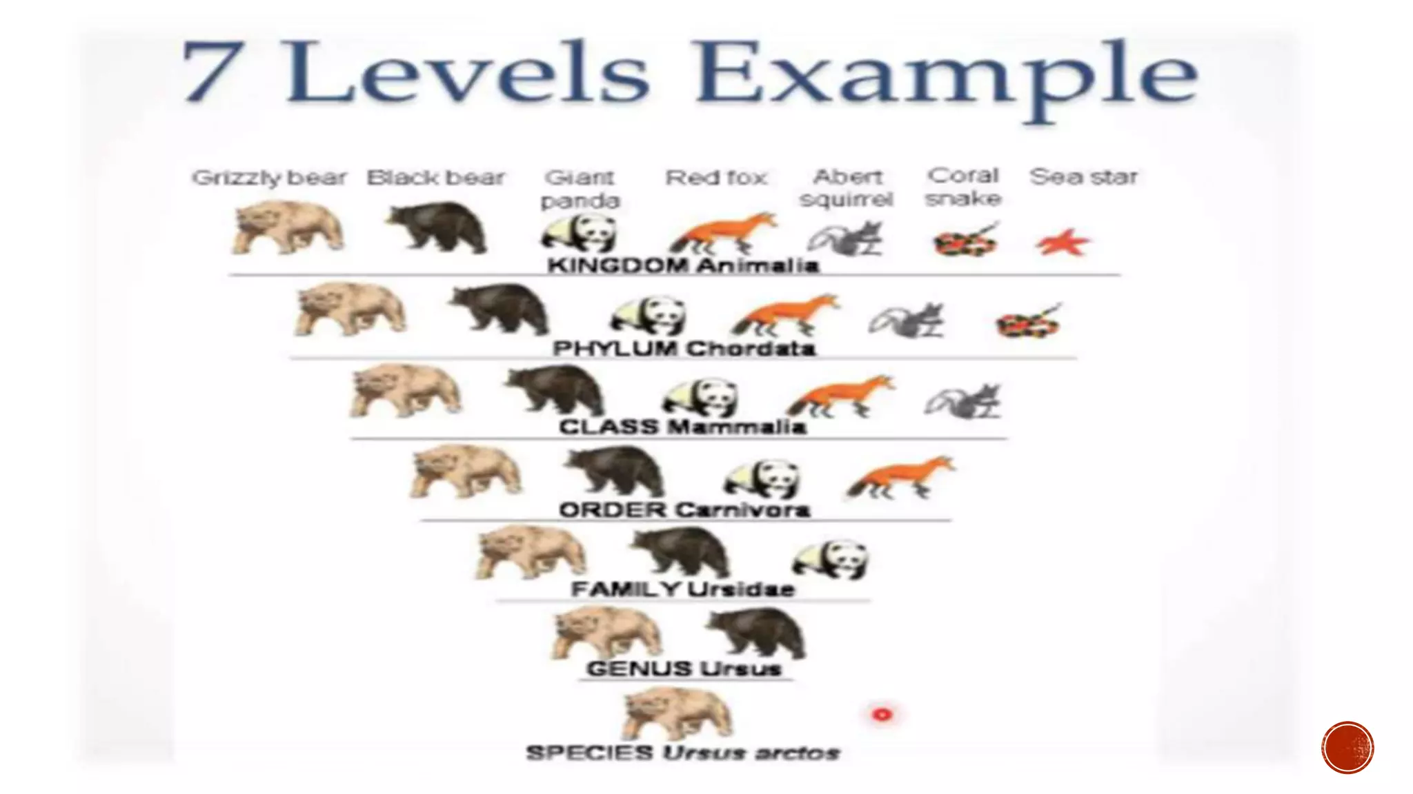 Biosystematics. | PPTX