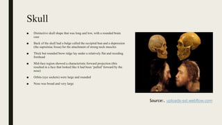 BIOSYSTEMATICS AND EVOLUTION.pptx