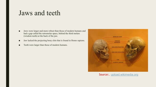 BIOSYSTEMATICS AND EVOLUTION.pptx