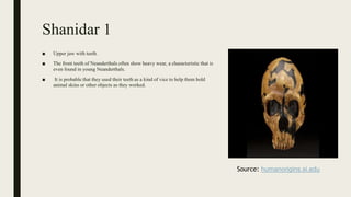 BIOSYSTEMATICS AND EVOLUTION.pptx