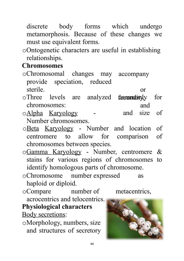 Biosystematics and Taxonomy , classification notes.pptx | Biological ...