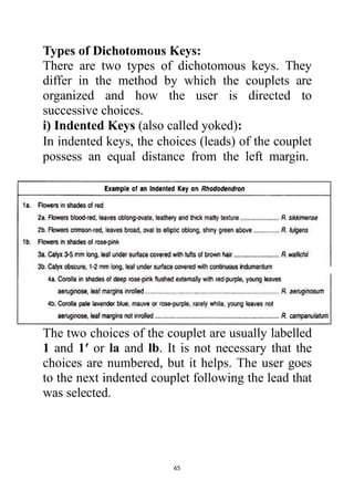 Biosystematics and Taxonomy , classification notes.pptx