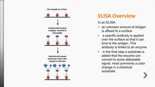 BIOTECHNOLOGY 2 Lecture 9 ELISA TEST.pptx