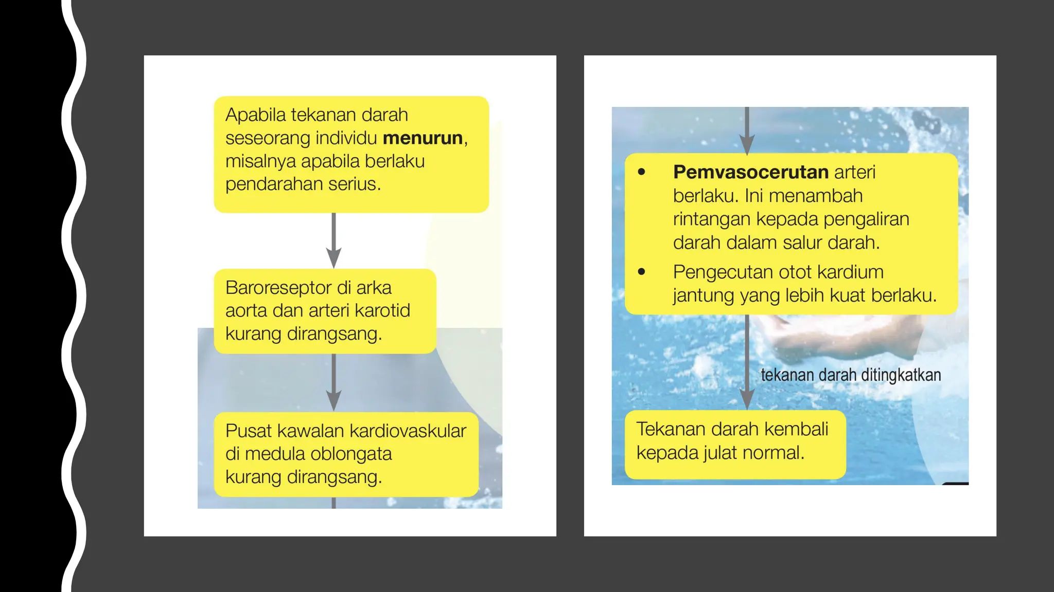 BIO_T4_KSSM_Bab_13_Homeostasis_dan_Sistem_Urinari_Manusia_zila_khalid.pdf