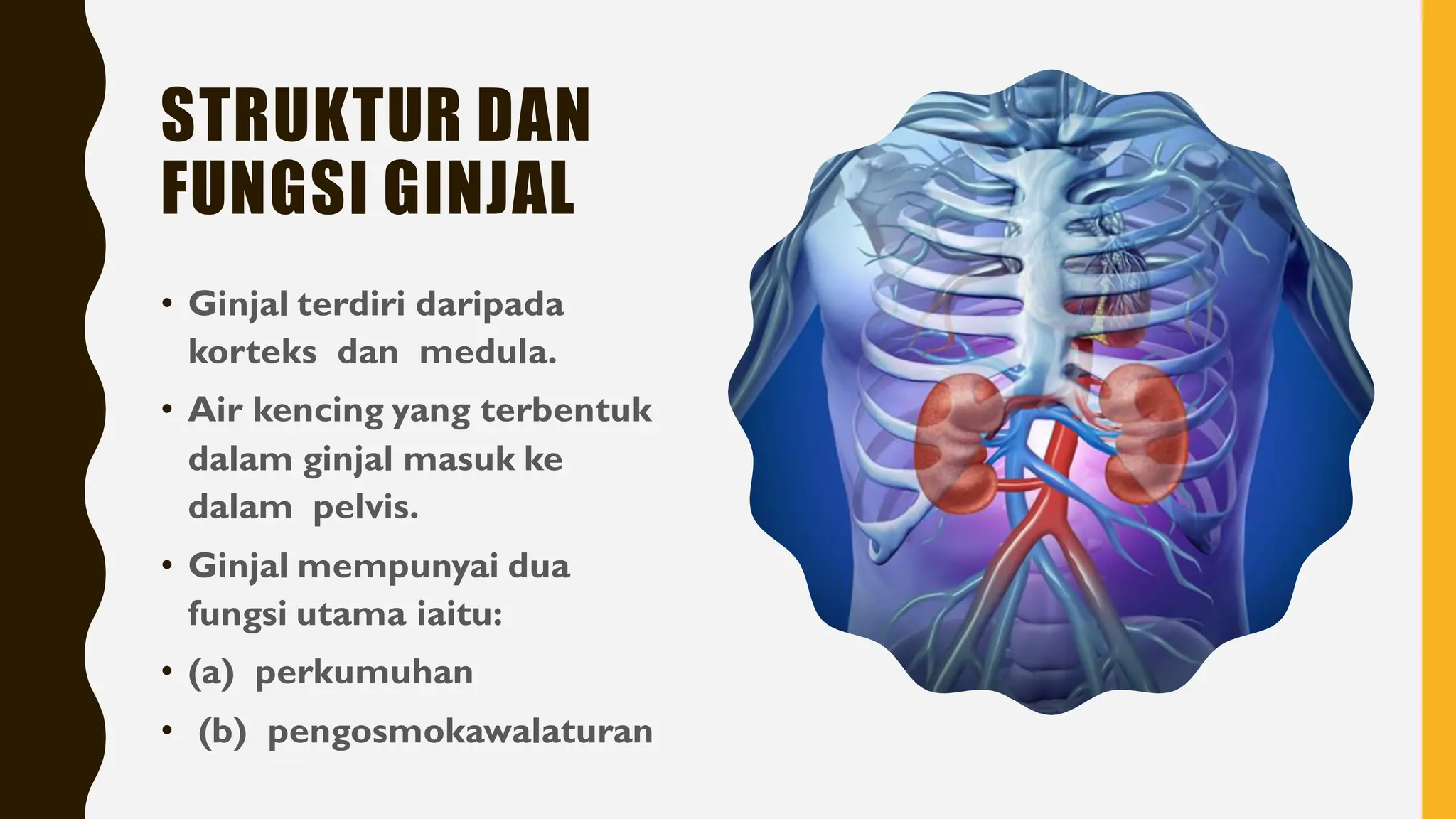 BIO_T4_KSSM_Bab_13_Homeostasis_dan_Sistem_Urinari_Manusia_zila_khalid.pdf
