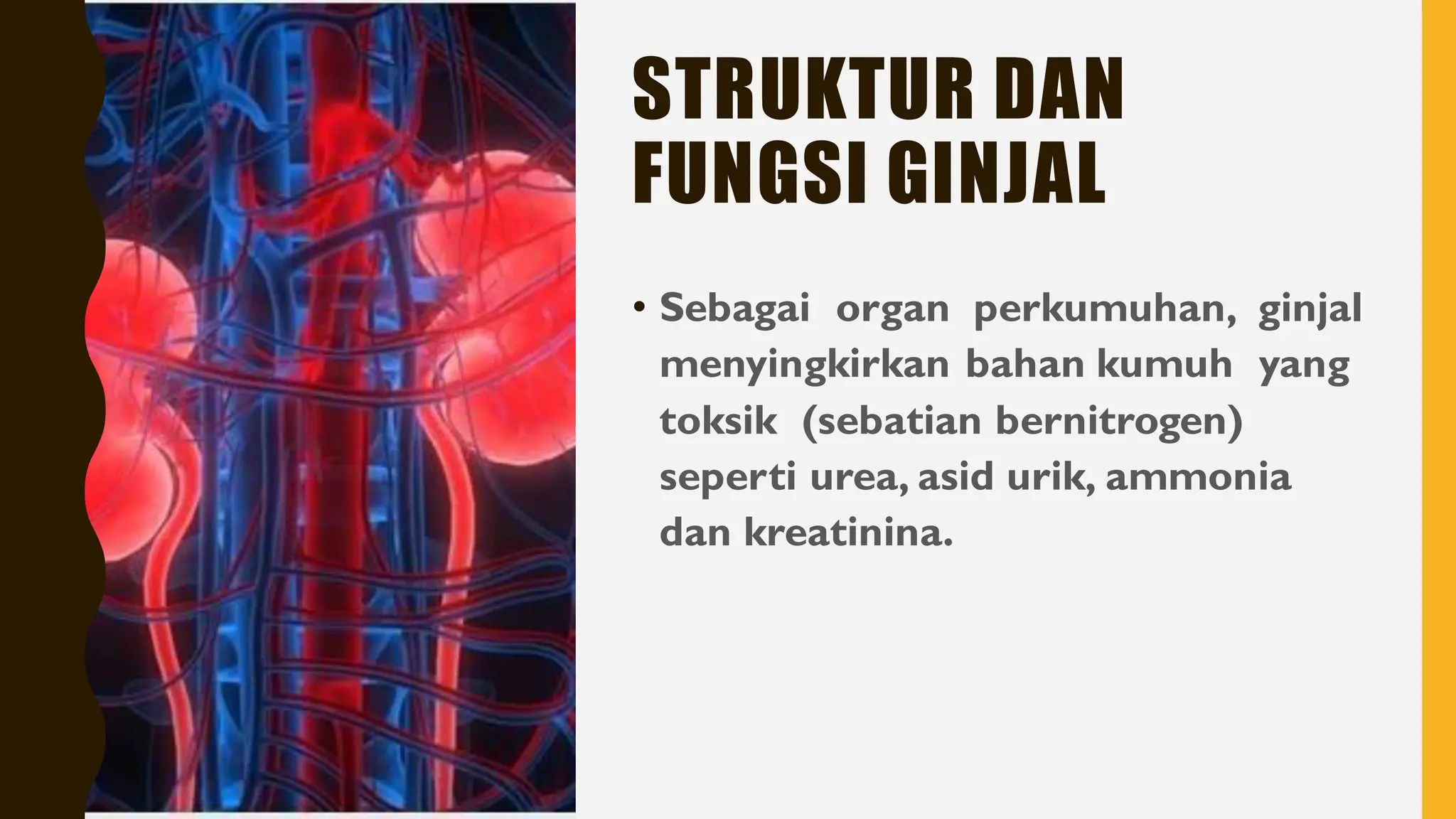 BIO_T4_KSSM_Bab_13_Homeostasis_dan_Sistem_Urinari_Manusia_zila_khalid.pdf