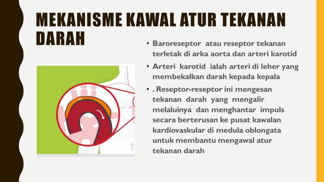 BIO_T4_KSSM_Bab_13_Homeostasis_dan_Sistem_Urinari_Manusia_zila_khalid.pdf