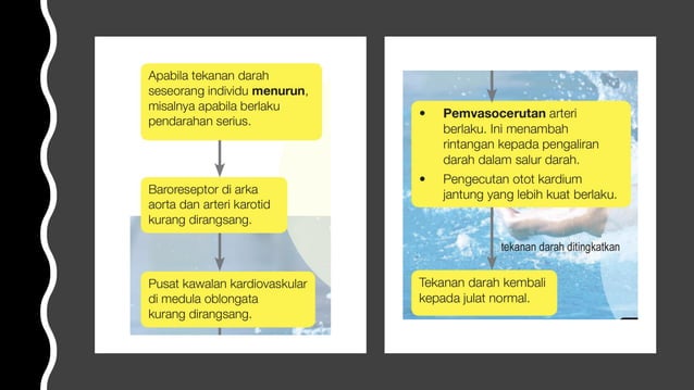 BIO_T4_KSSM_Bab_13_Homeostasis_dan_Sistem_Urinari_Manusia_zila_khalid.pdf