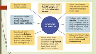 BIO T4 KSSM BAB 5 Metabolisme dan Enzim.pptx