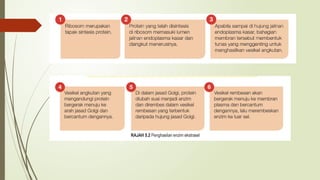 BIO T4 KSSM BAB 5 Metabolisme dan Enzim.pptx