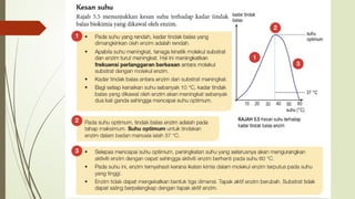BIO T4 KSSM BAB 5 Metabolisme dan Enzim.pptx