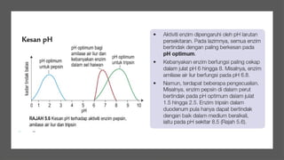 BIO T4 KSSM BAB 5 Metabolisme dan Enzim.pptx
