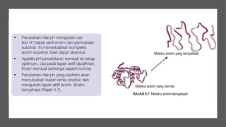 BIO T4 KSSM BAB 5 Metabolisme dan Enzim.pptx