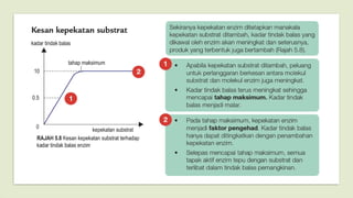 BIO T4 KSSM BAB 5 Metabolisme dan Enzim.pptx