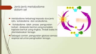 BIO T4 KSSM BAB 5 Metabolisme dan Enzim.pptx
