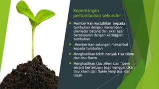 BIO T5 KSSM BAB 1 Organisasi Tisu Tumbuhan dan Pertumbuhan.pptx