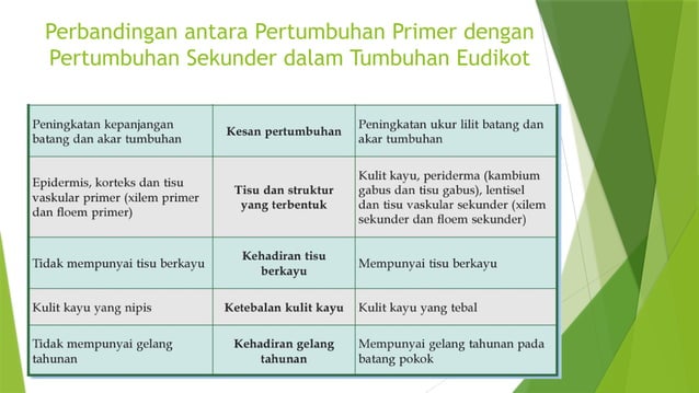 BIO T5 KSSM BAB 1 Organisasi Tisu Tumbuhan dan Pertumbuhan.pptx