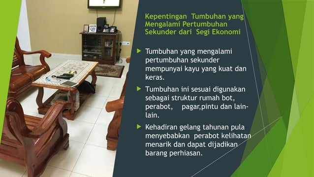 BIO T5 KSSM BAB 1 Organisasi Tisu Tumbuhan dan Pertumbuhan.pptx