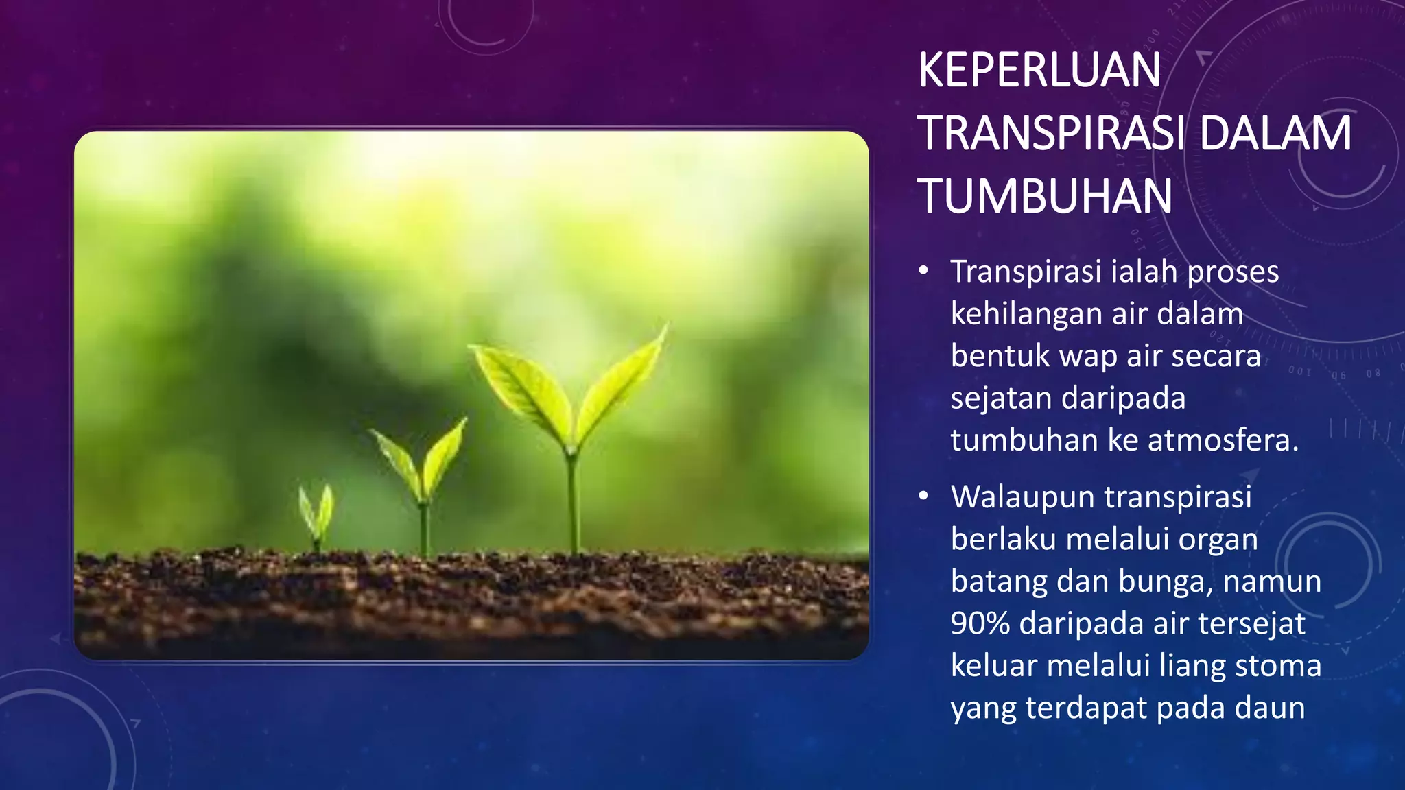 BIO T5 KSSM BAB 2 Struktur dan Fungsi Daun zila khalid =).pdf