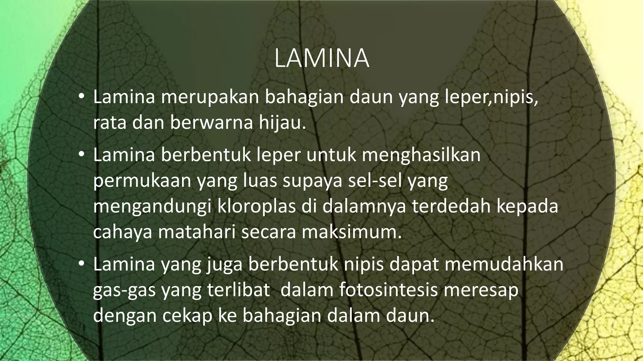BIO T5 KSSM BAB 2 Struktur dan Fungsi Daun zila khalid =).pdf