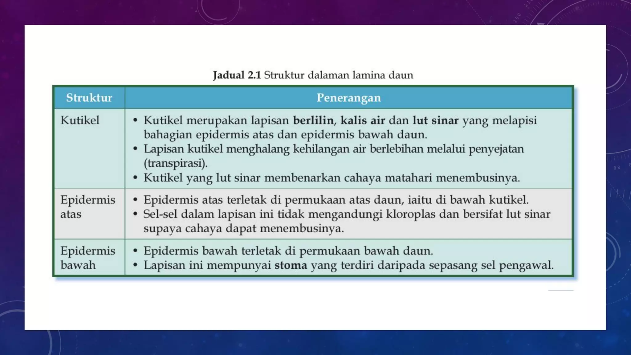 BIO T5 KSSM BAB 2 Struktur dan Fungsi Daun zila khalid =).pdf