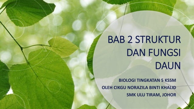 BIO T5 KSSM BAB 2 Struktur dan Fungsi Daun zila khalid =).pdf