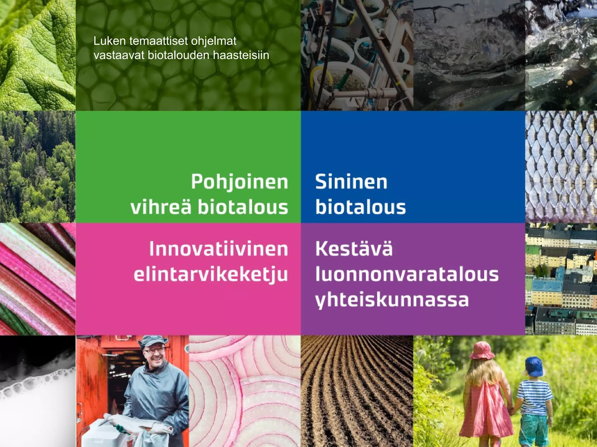 Biotaloudesta Suomen valttikortti | PPT