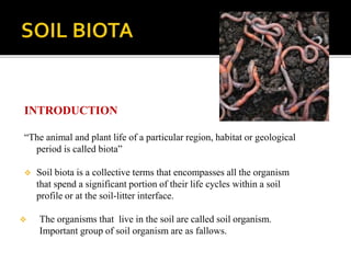 Soil biota | PPTX