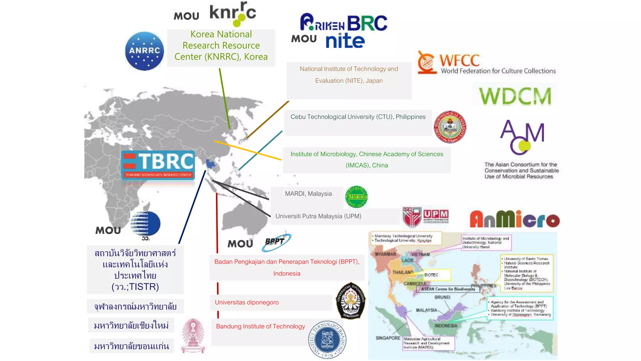 Thailand Bioresource Research Center (TBRC) | PPTX | Biotech and ...