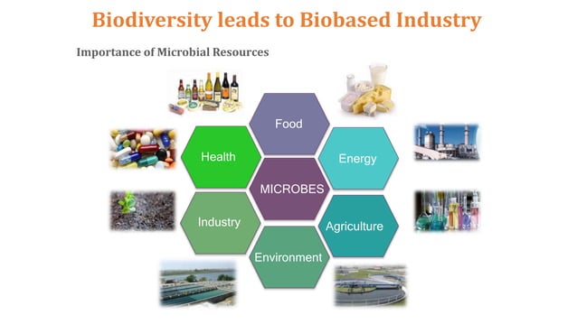 Thailand Bioresource Research Center (TBRC) | PPTX | Biotech and ...