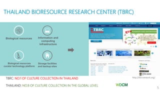 Thailand Bioresource Research Center (TBRC) | PPTX | Biotech and ...