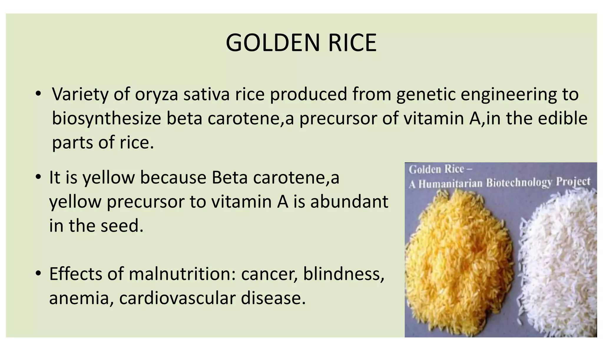 genetically modified crops | PPTX