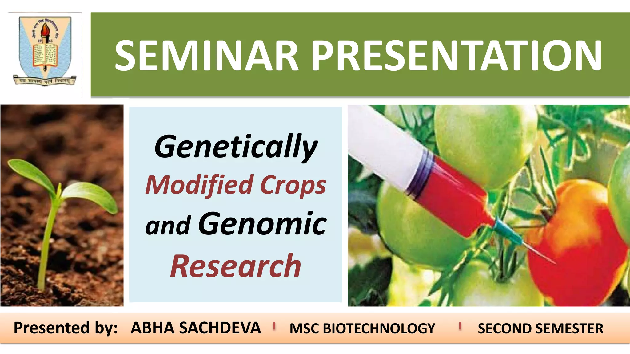 genetically modified crops | PPTX