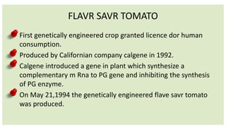 genetically modified crops | PPTX