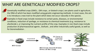 genetically modified crops | PPTX