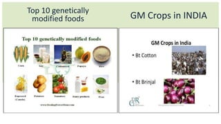 genetically modified crops | PPTX