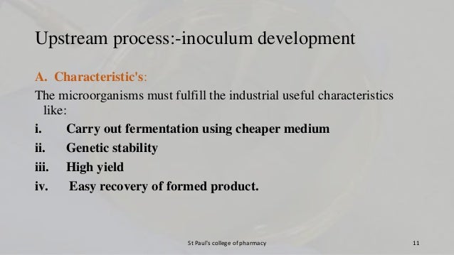 upstream & downstream process of antibiotics