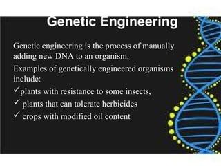 Genetic Engineering | PPT