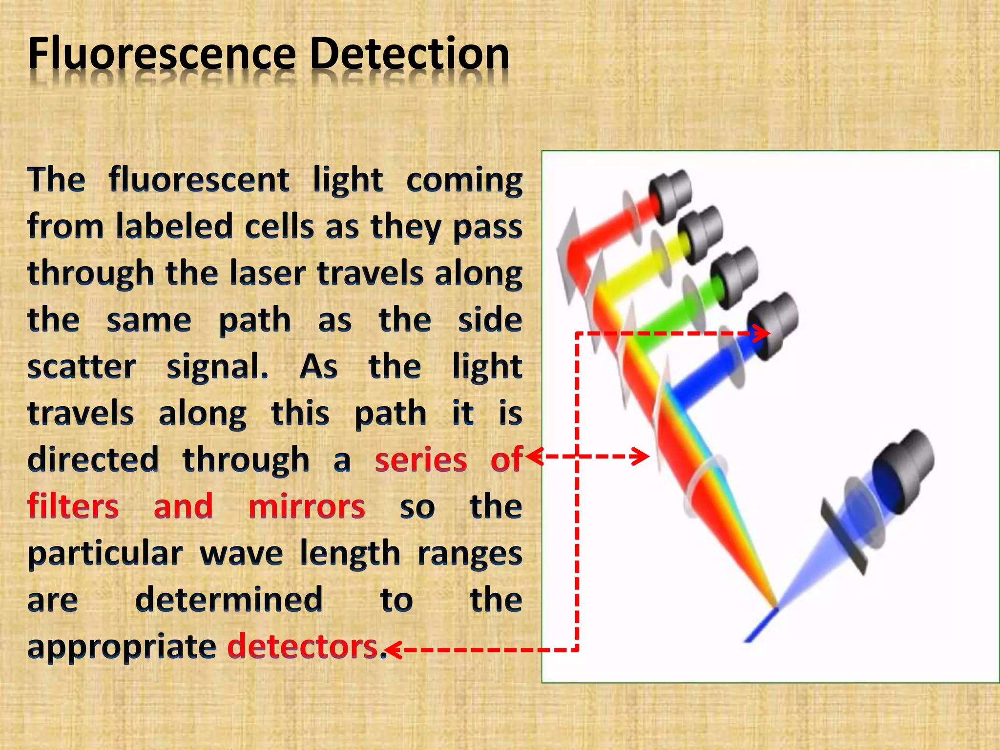Flow Cytometry technique | PPTX | Chemistry | Science